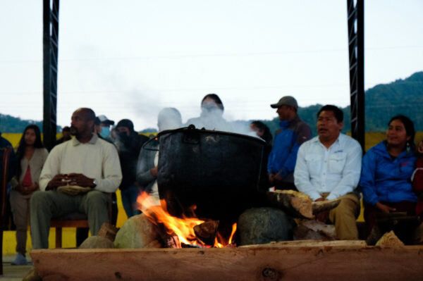 Die Guayusa-Upina heute | Matchachin Guayusa Blog