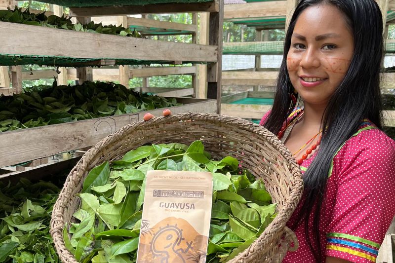 Guayusa - unsere neuen Preise